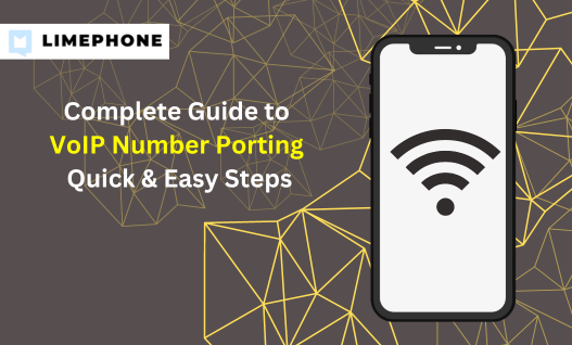 Complete Guide to VoIP Number Porting - Quick & Easy Steps